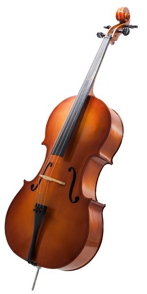 CelloCutout | Mega Music Store